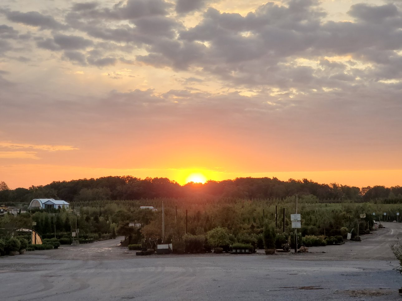 Distributor Spotlight: Manor View Farm