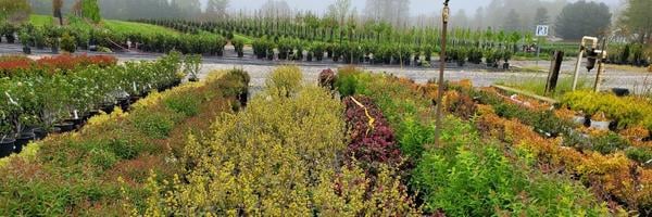 Distributor Spotlight: Manor View Farm