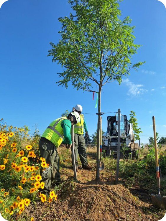 Planting the Future: Sourcing at Scale for Intel’s Cardinal Campus